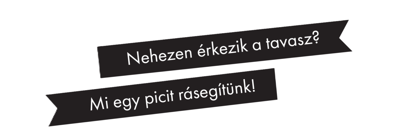 home - Lestyán Gasztro&Bár